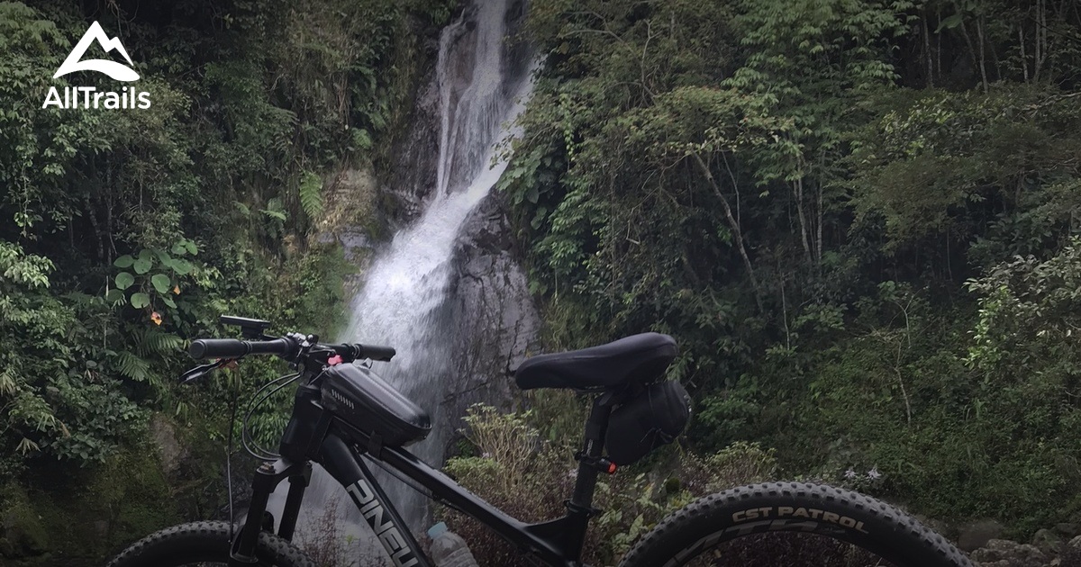 Best forest trails in Kidapawan | AllTrails