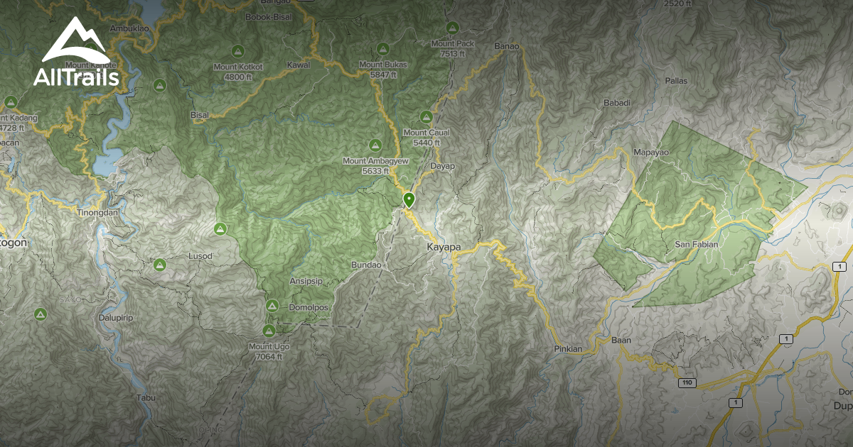 Best views trails in Kayapa | AllTrails