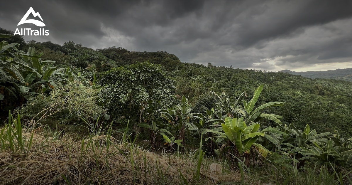 Best hikes and trails in Bamban | AllTrails