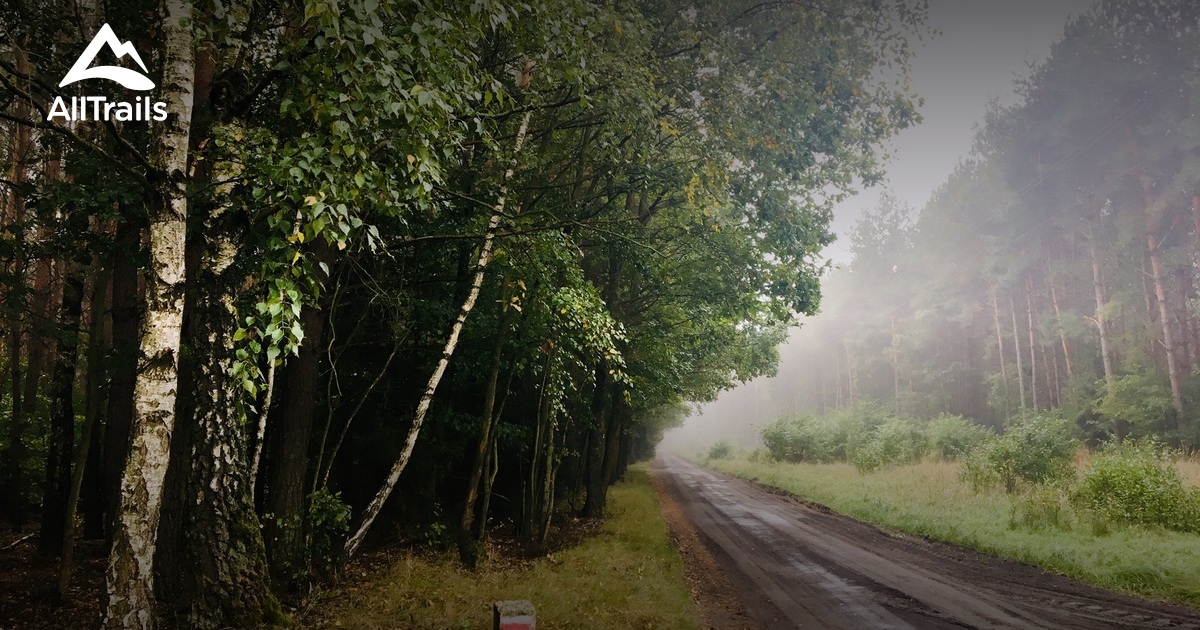 Best beach trails in Murowana Goślina | AllTrails