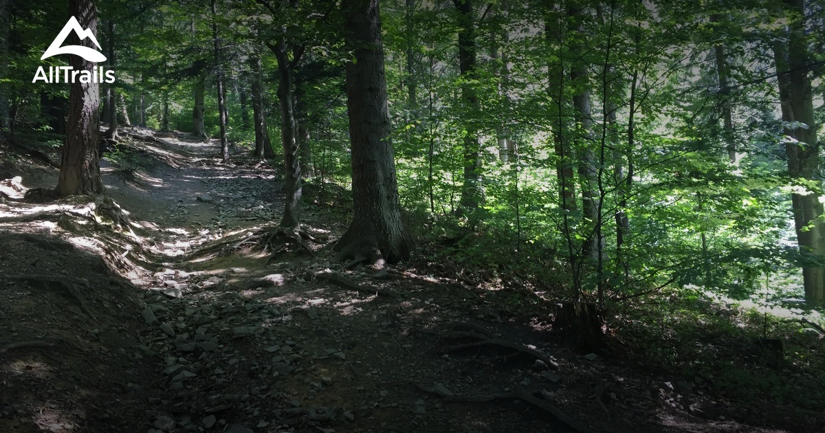 Wadowice : les meilleurs itinéraires aménagés | AllTrails