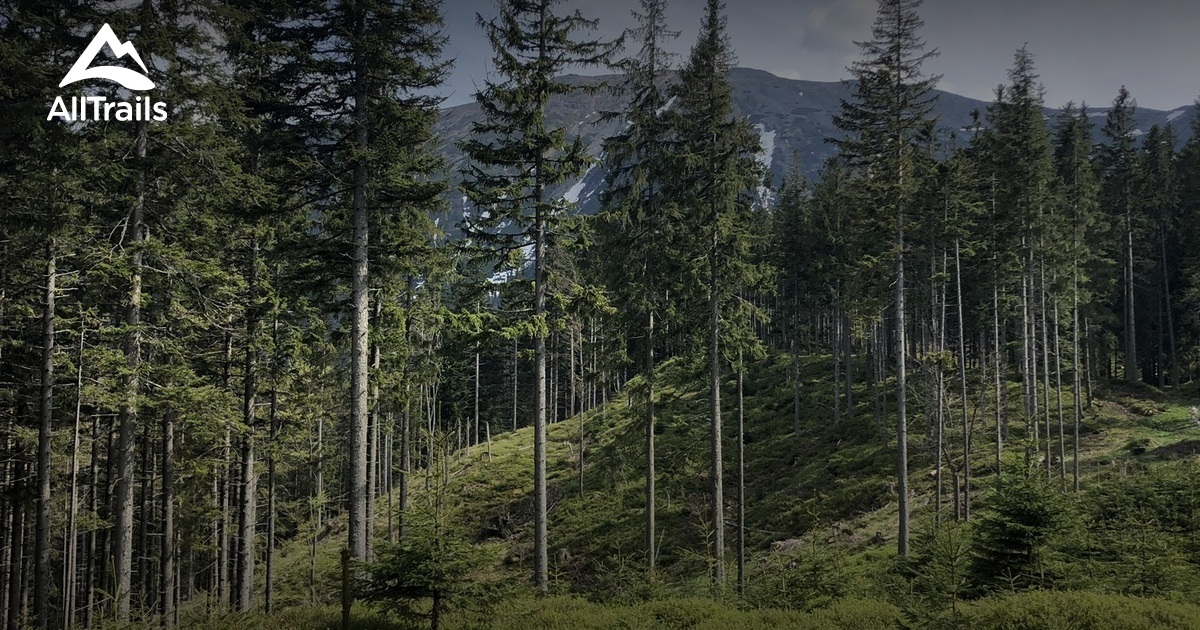 10 najlepszych szlaków i miejsc do turystyki pieszej w: Zawoja | AllTrails