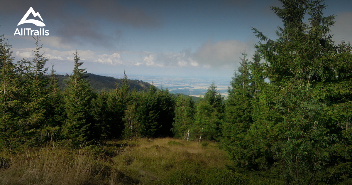 Best hard trails in Bielice | AllTrails