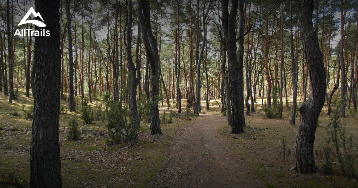 10 Best trails and hikes in Warsaw | AllTrails