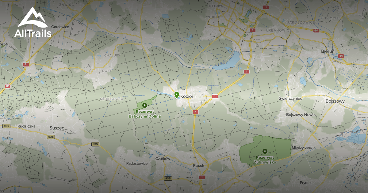 Best historic site trails in Kobiór | AllTrails