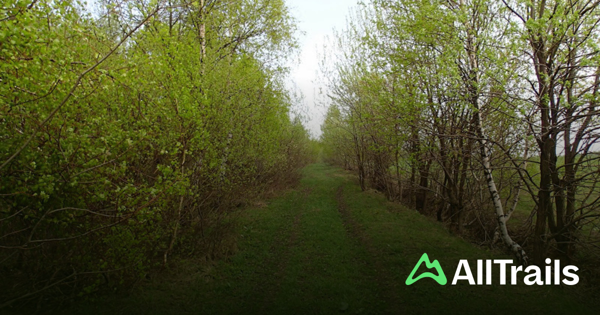 Best forest trails in Ożenna | AllTrails