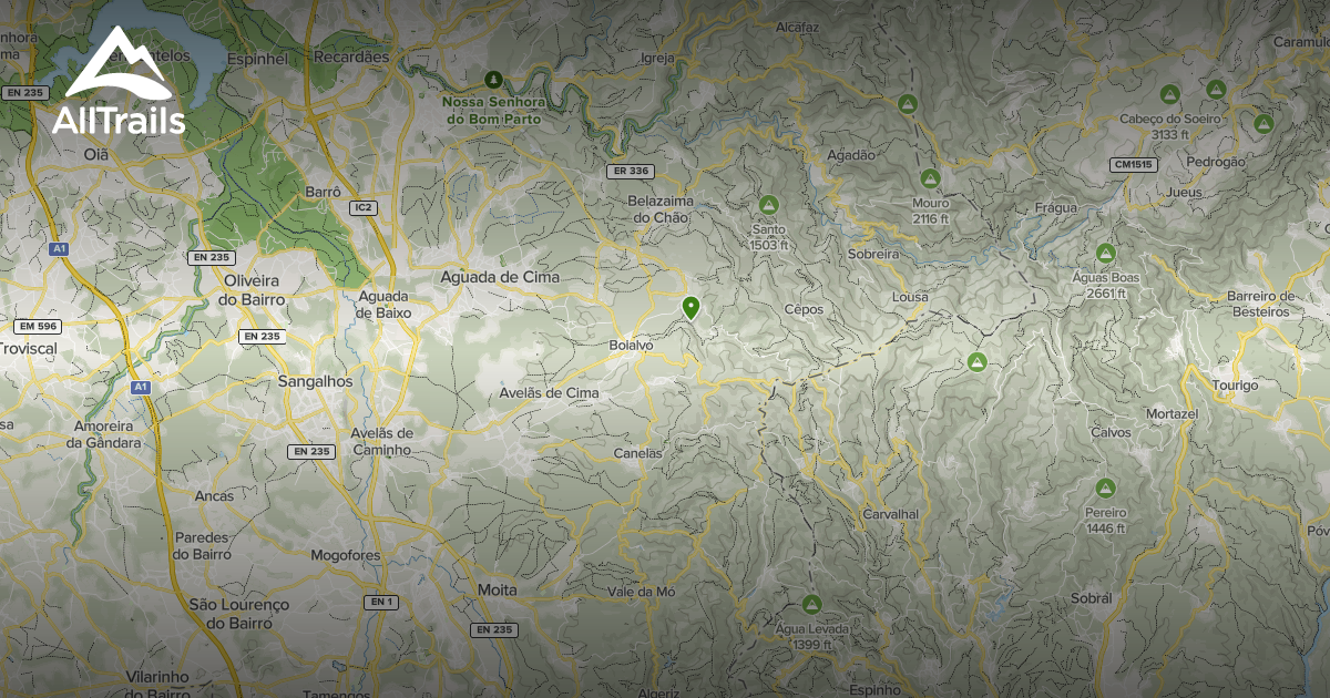 Best Hikes and Trails in Avelãs de Cima | AllTrails