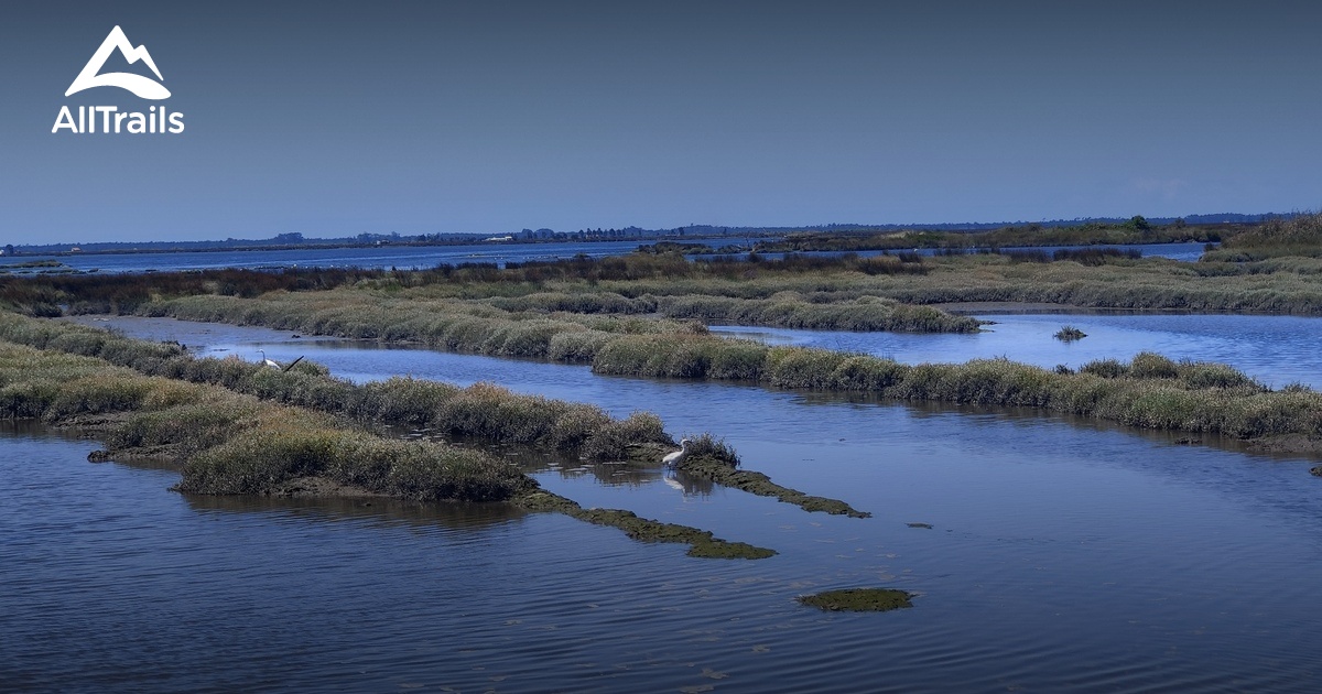 Los mejores senderos y rutas en Cacia | AllTrails