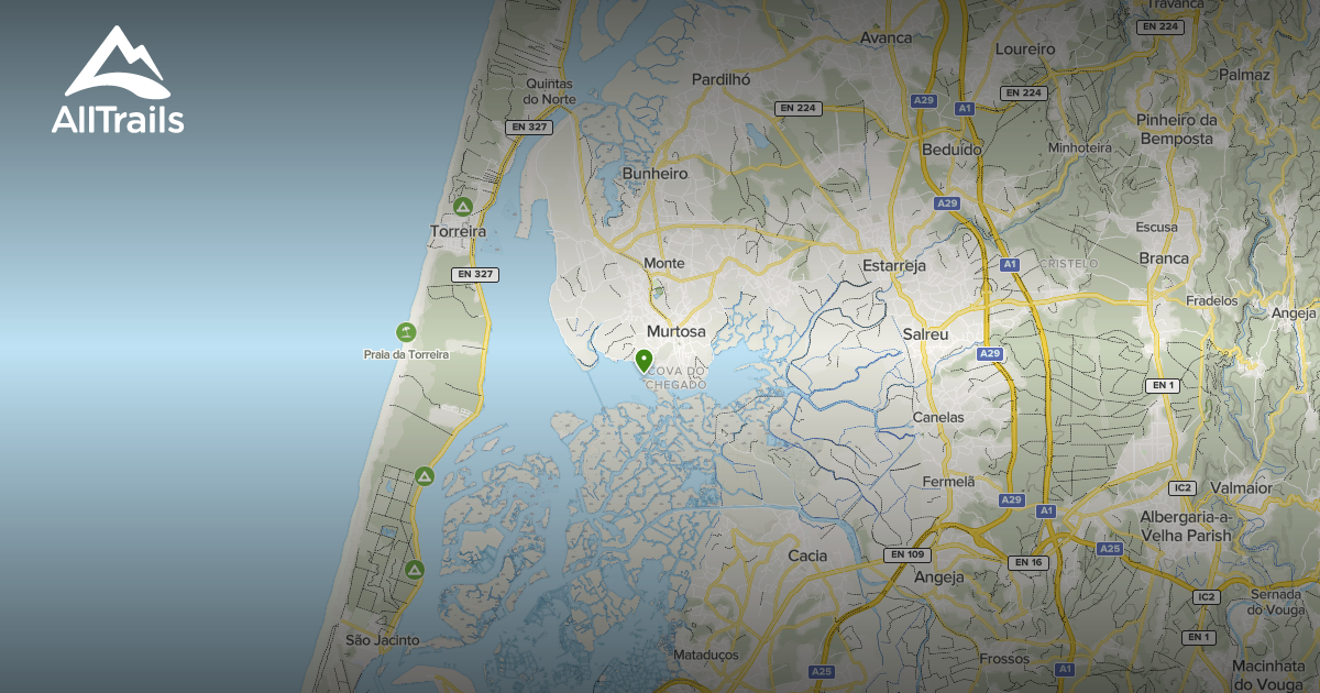 Best hikes and trails in Murtosa | AllTrails