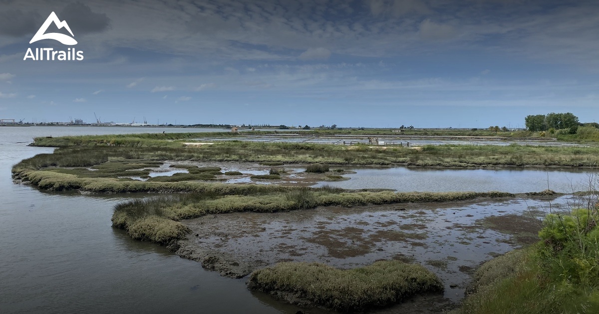 Best Hikes and Trails in Vagos | AllTrails