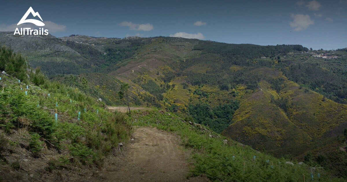 De beste gedeeltelijk verharde routes in Vale de Cambra | AllTrails