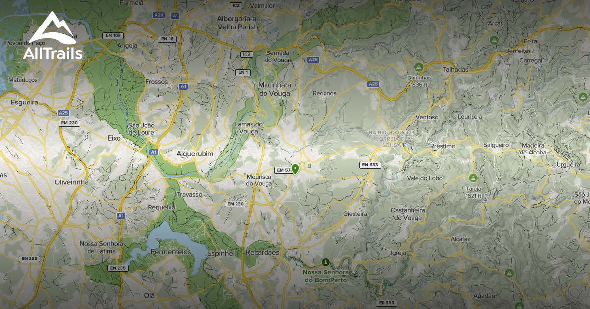 Best hikes and trails in Valongo do Vouga | AllTrails