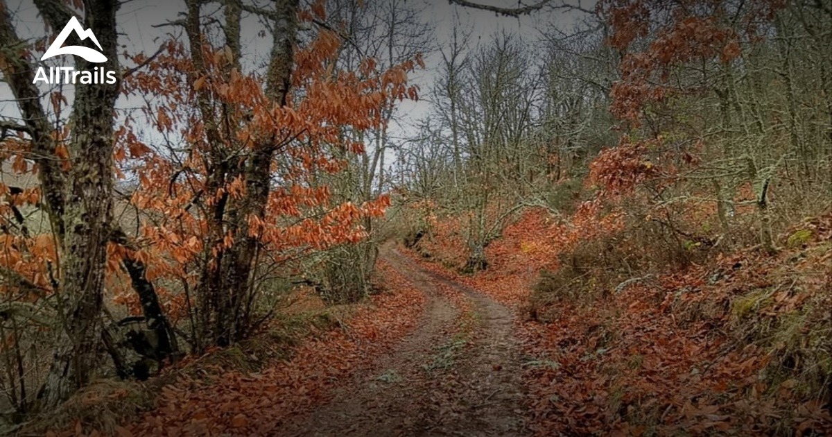 Best moderate trails in Vilar do Monte | AllTrails