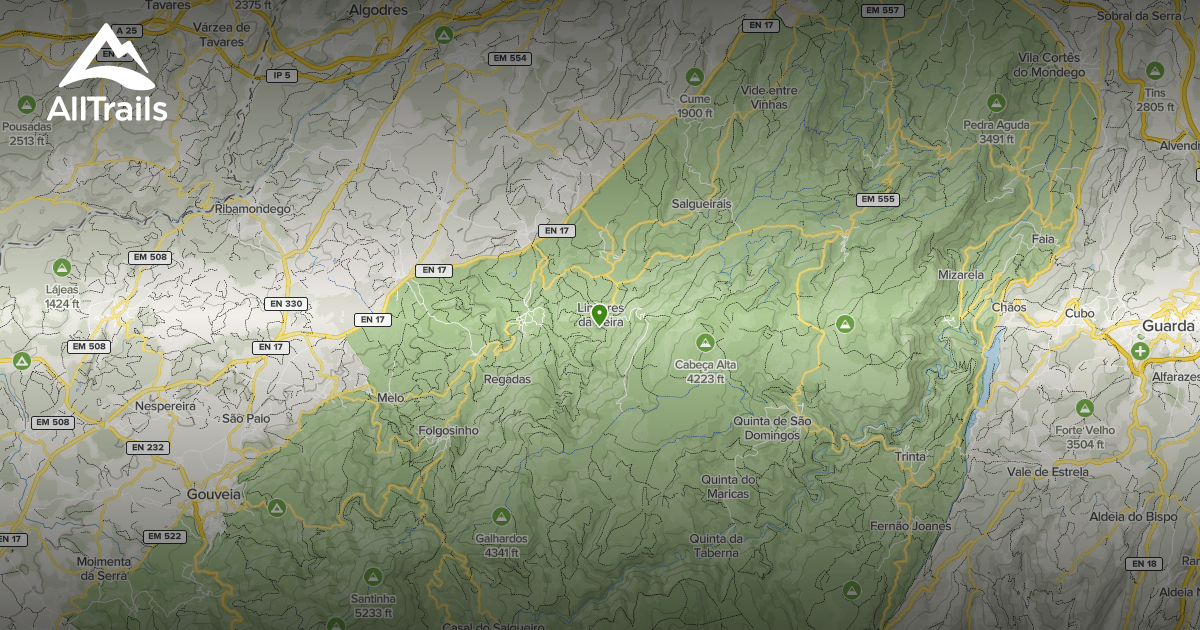 Best forest trails in Linhares | AllTrails