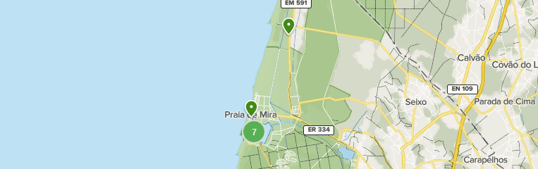 2023 Best 10 Trails, Walks, and Paths in Praia de Mira | AllTrails