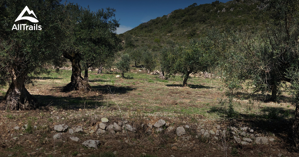 2023 Best Partially Paved Trails in Alcaria | AllTrails