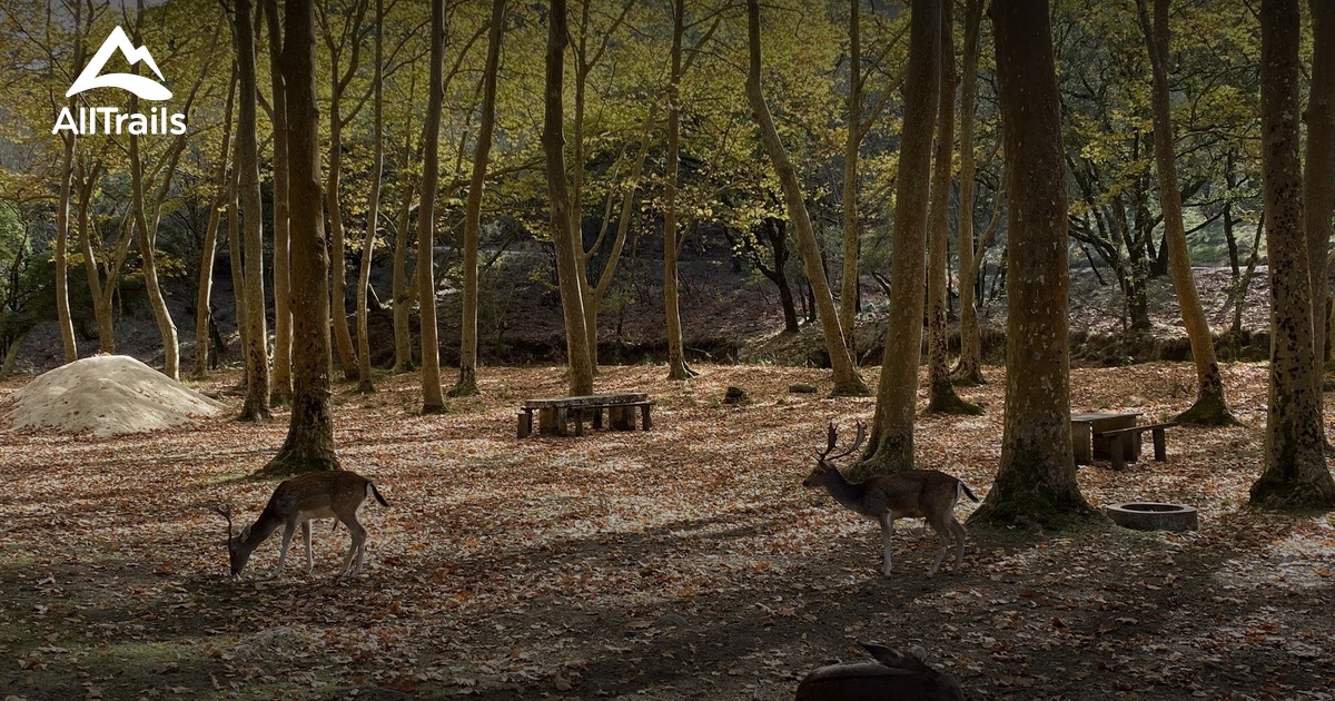 Los mejores senderos con lago en Gradil | AllTrails