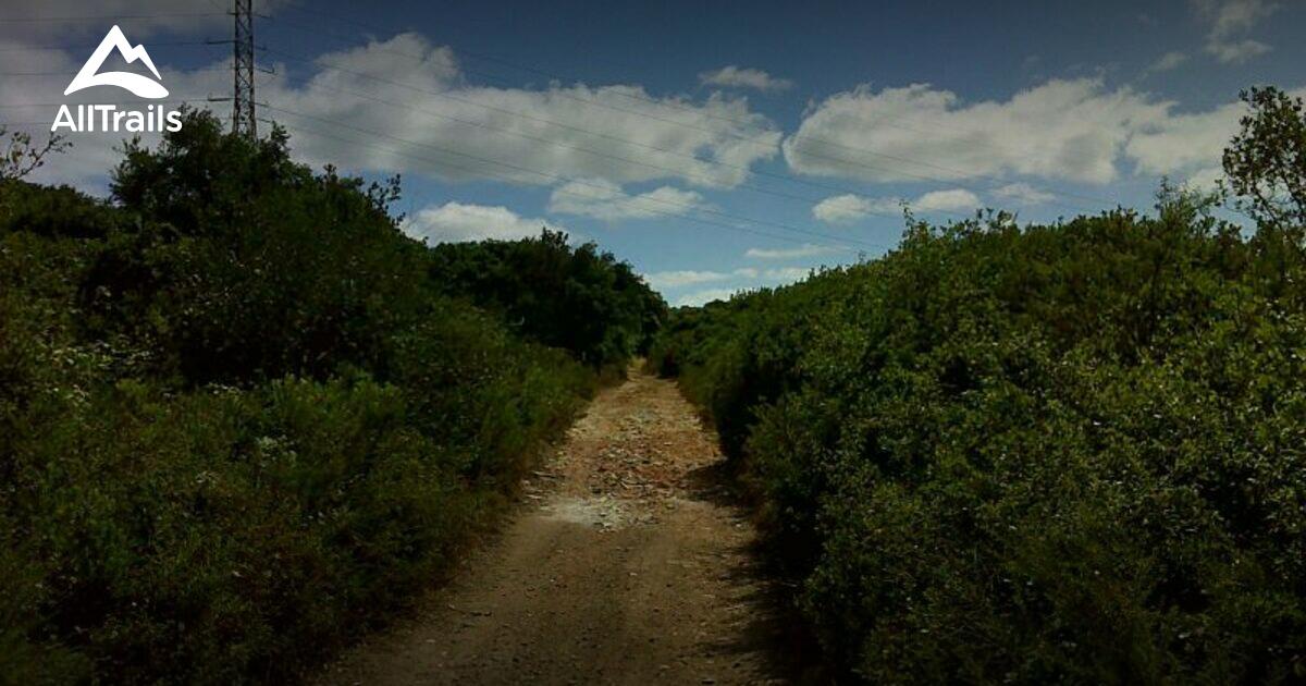 2023 Best Kid Friendly Trails in Pontinha | AllTrails