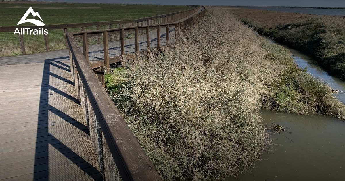 10 Best trails and hikes in Vialonga | AllTrails