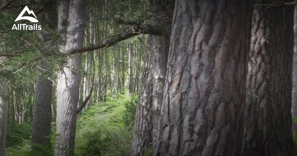 Best camping trails in Entre Ambos-Os-Rios | AllTrails