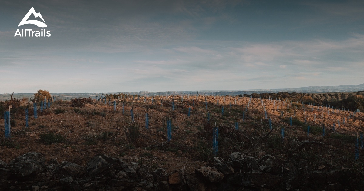 Best hikes and trails in Izeda | AllTrails