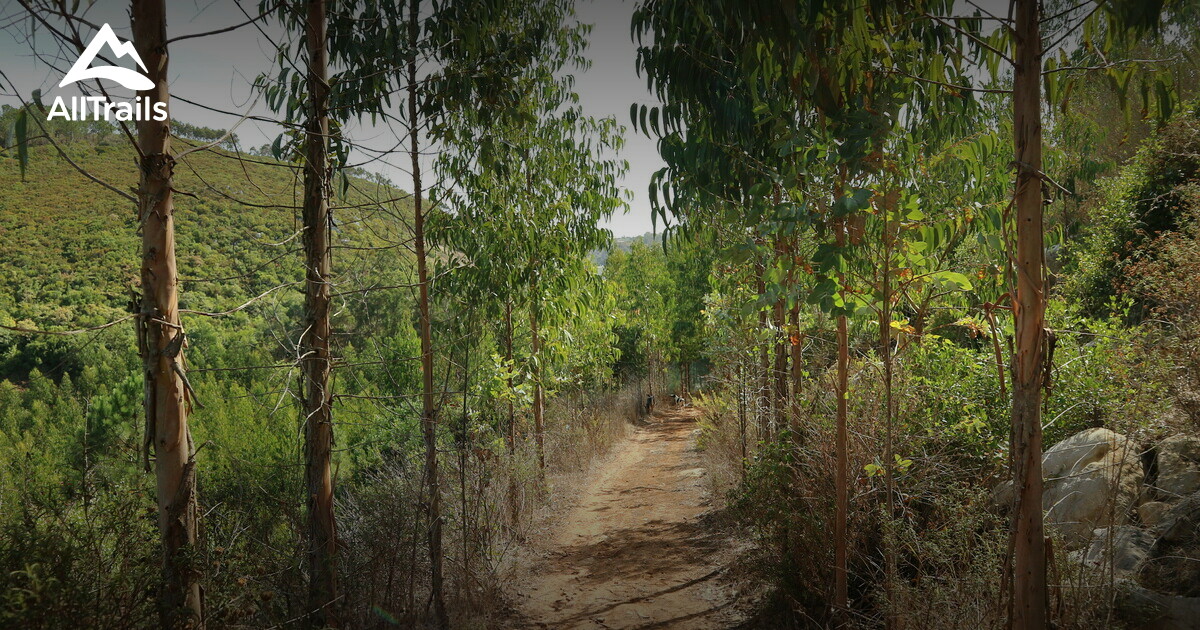 Best Hikes and Trails in Ribamar | AllTrails