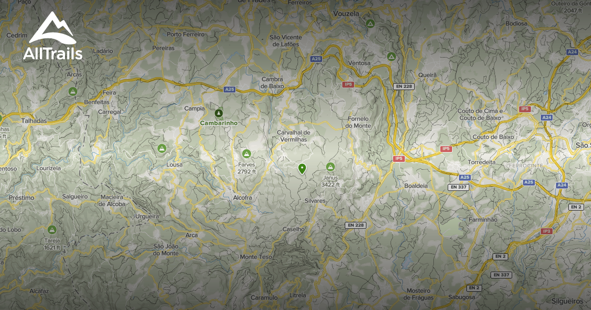 Best hikes and trails in Carvalhal de Vermilhas | AllTrails