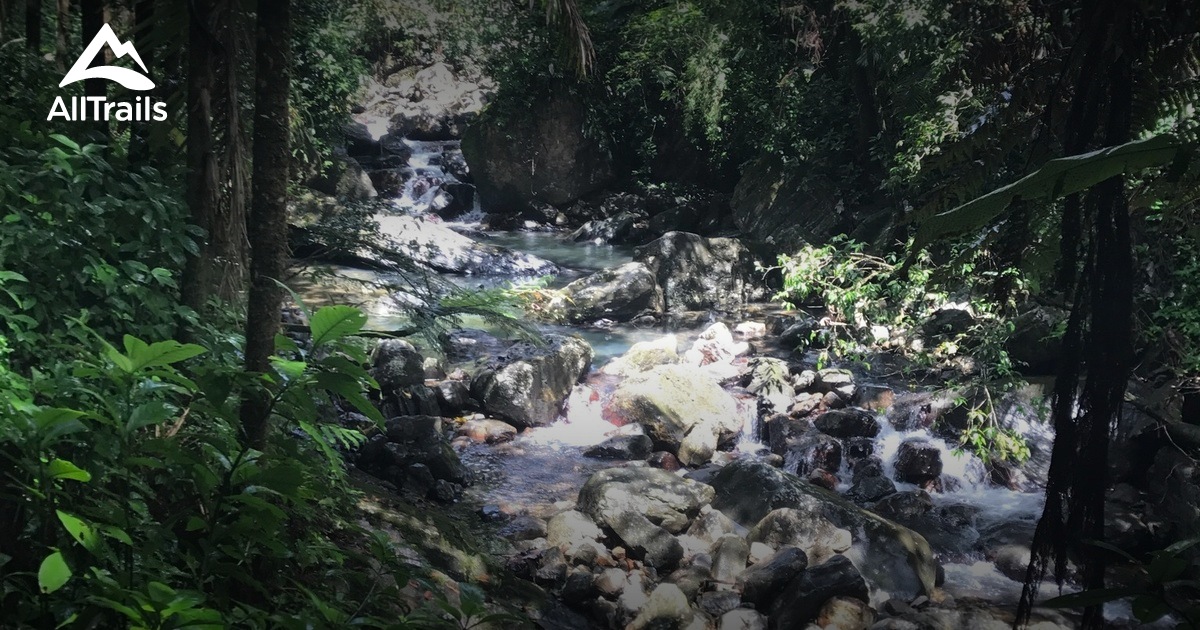 Best hikes and trails in Carata de la Mina | AllTrails