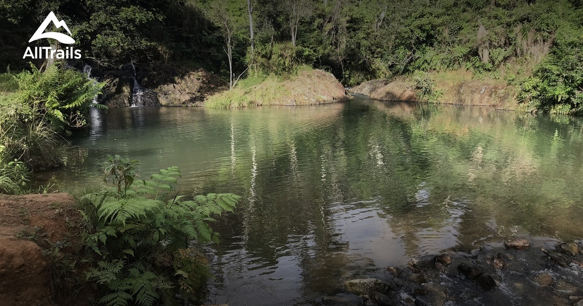 Best hikes and trails in Patillas | AllTrails