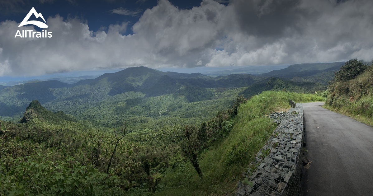 Die Besten Befestigten Routen in Río Grande | AllTrails