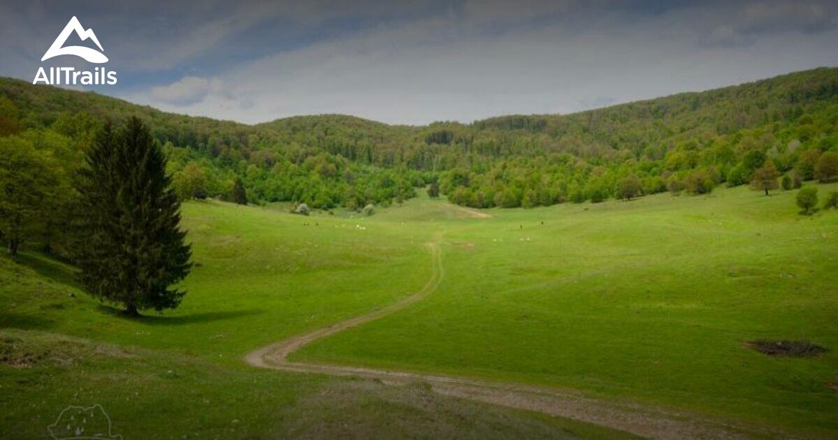 Best hikes and trails in Moneasa | AllTrails