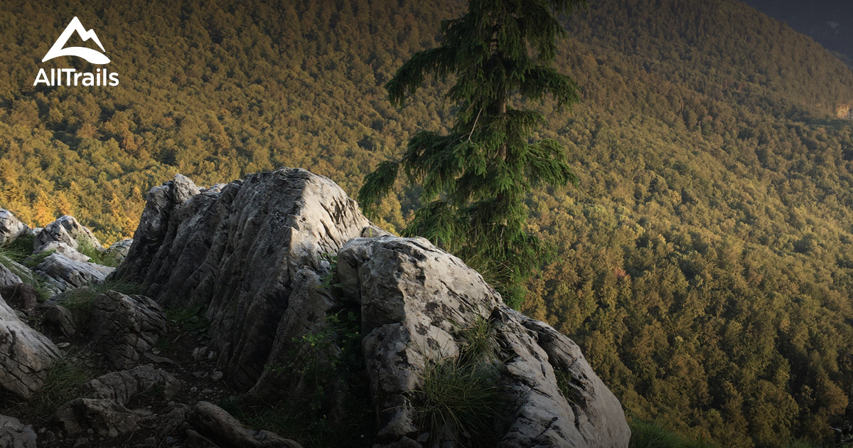 10 Best trails and hikes in Pietroasa | AllTrails
