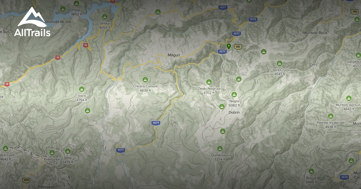 Die Besten Flusswege in Măguri-Răcătău | AllTrails