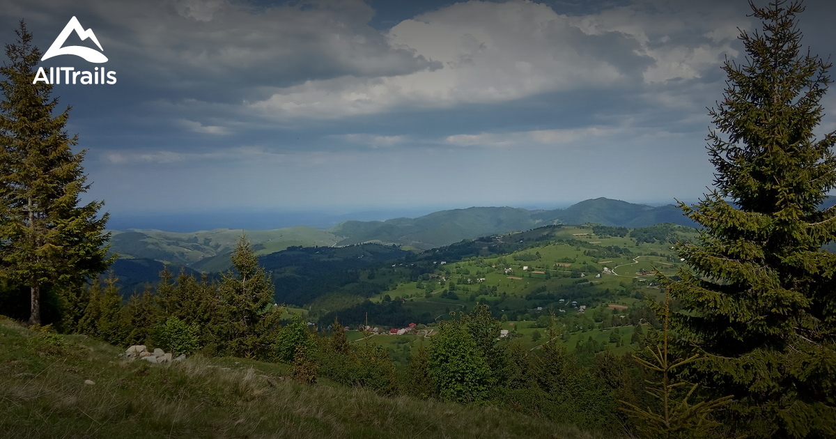 Los mejores senderos difíciles en Mărgău | AllTrails