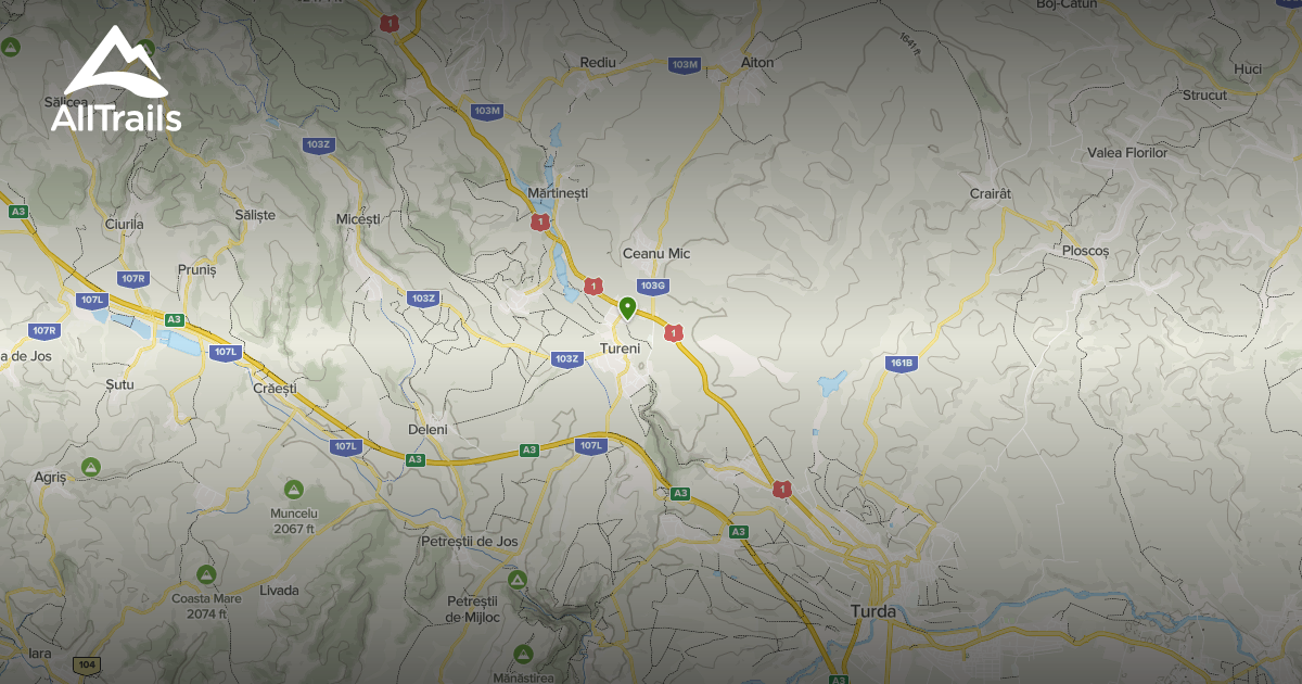 Best hikes and trails in Tureni | AllTrails