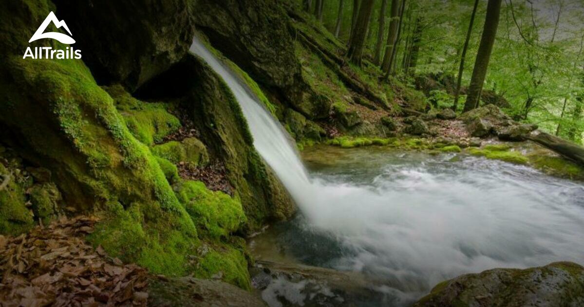 Best moderate trails in Baru | AllTrails