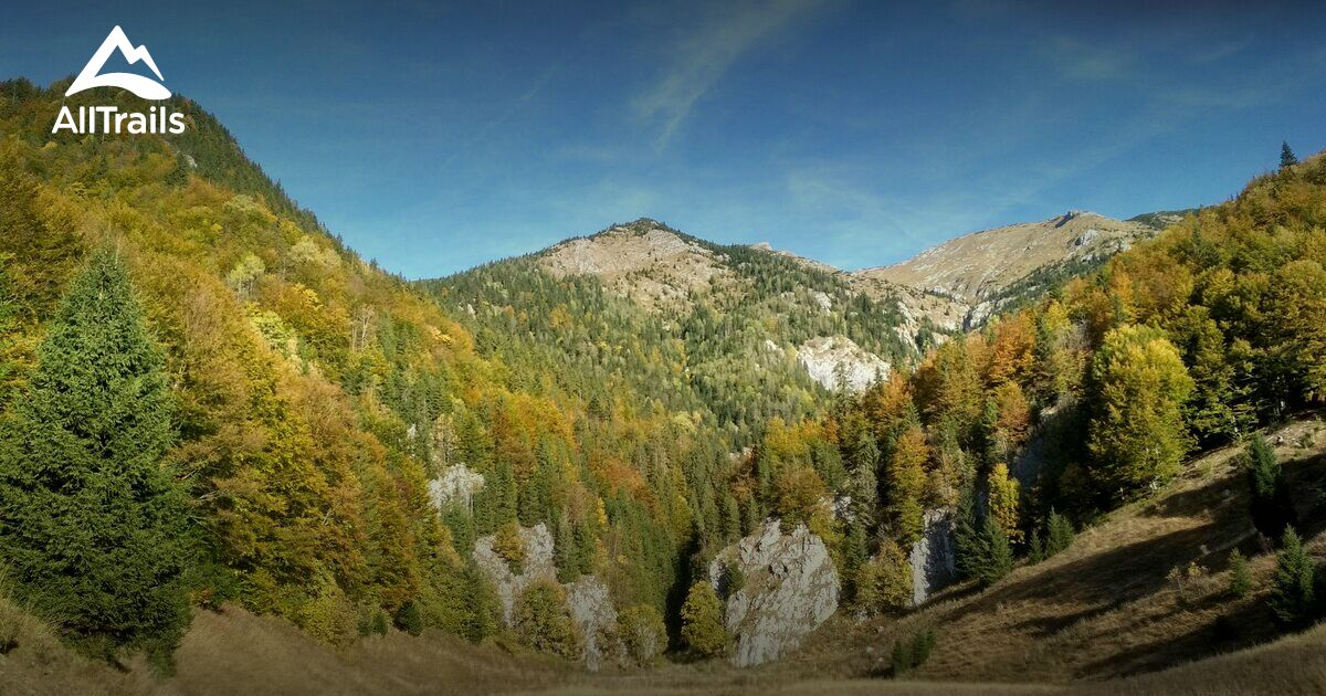 10 Best trails and hikes in Uricani | AllTrails