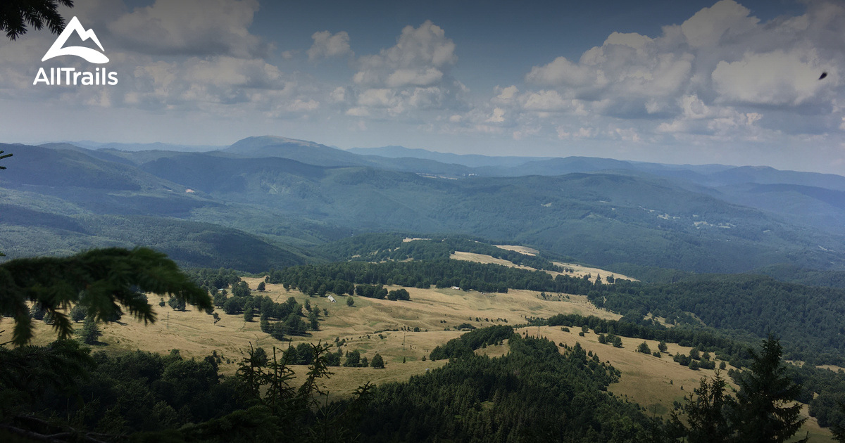 Best hikes and trails in Baia Sprie | AllTrails