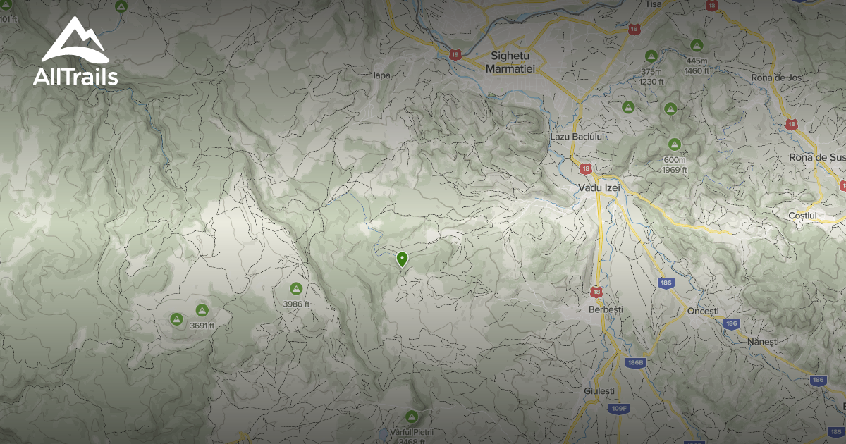 Best hikes and trails in Sighetu Marmației | AllTrails