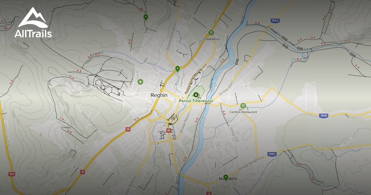 2023 Best Wild Flowers Trails in Reghin | AllTrails