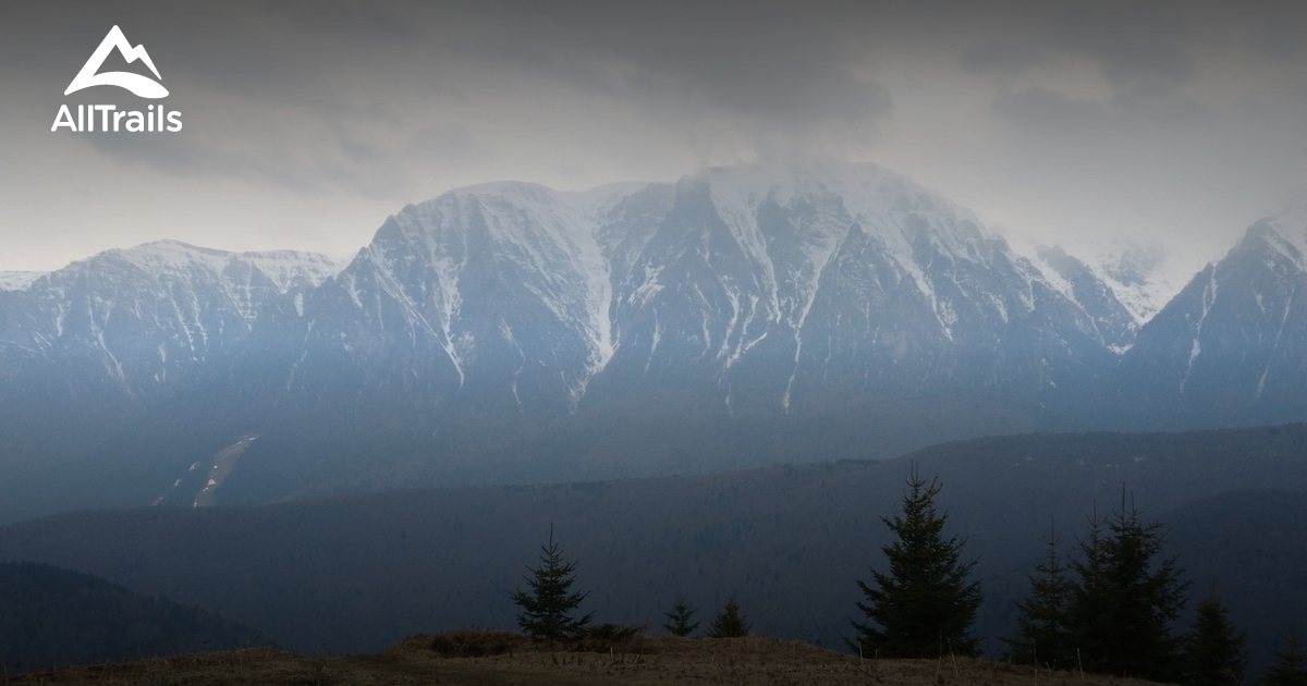 Best river trails in Azuga | AllTrails