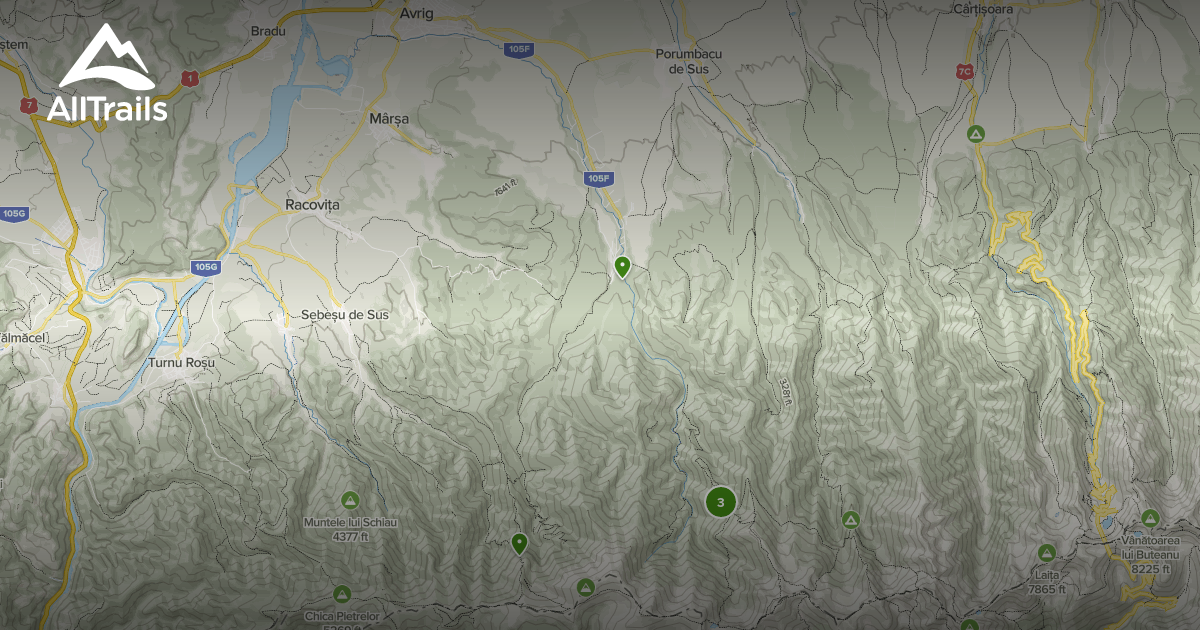 Avrig : les meilleures randonnées en forêt | AllTrails