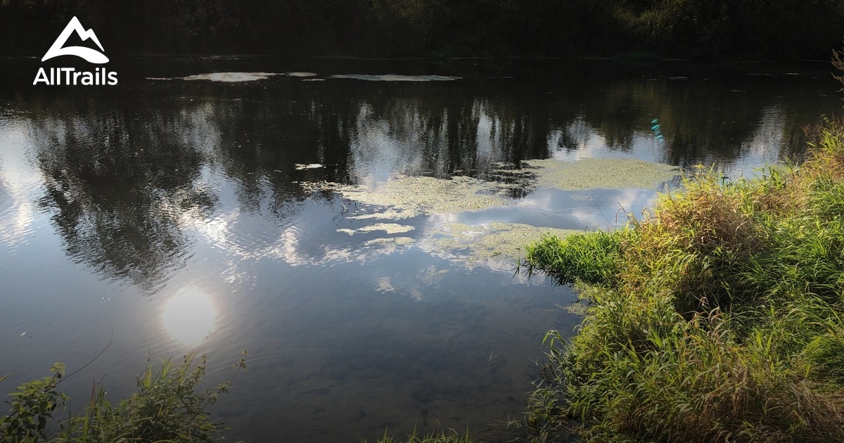 Best hikes and trails in Sovkhoz Borovsky | AllTrails