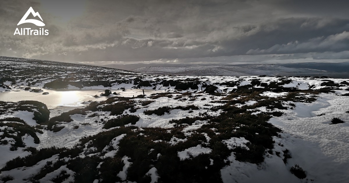 10 Best forest trails in Strathdon | AllTrails