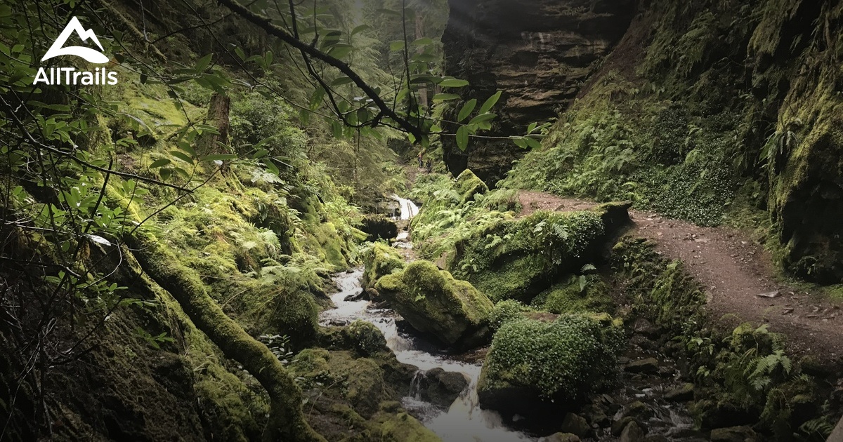 10 Best walking trails in Dunoon | AllTrails