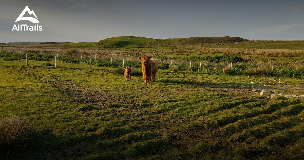 10 Best Trails, Walks, and Paths in Isle Of Islay | AllTrails