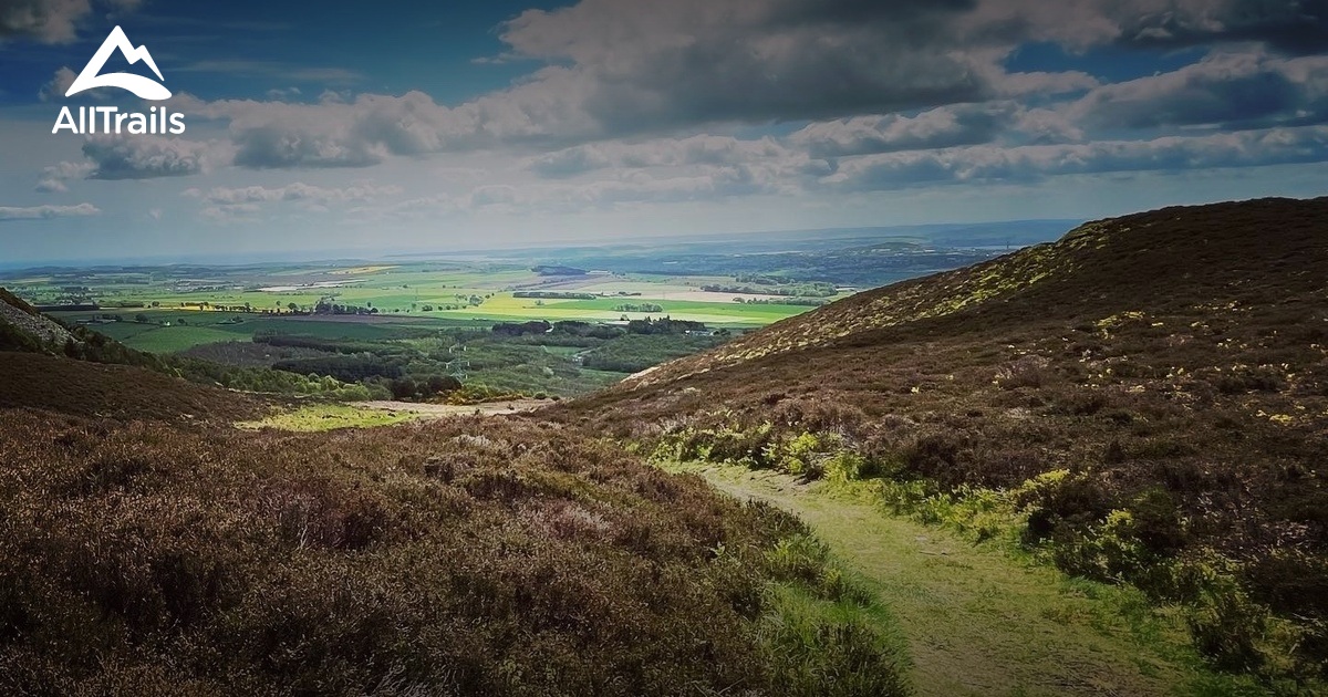 10 Best trails and hikes in Dundee | AllTrails