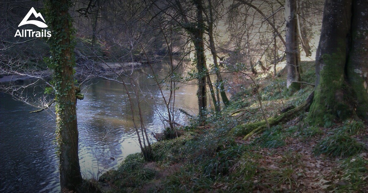 Best hikes and trails in Mauchline | AllTrails