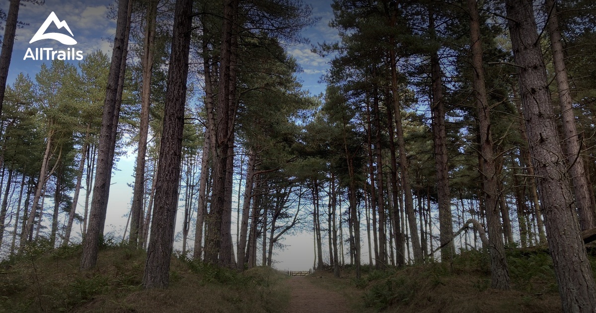 Best hikes and trails in Guardbridge | AllTrails