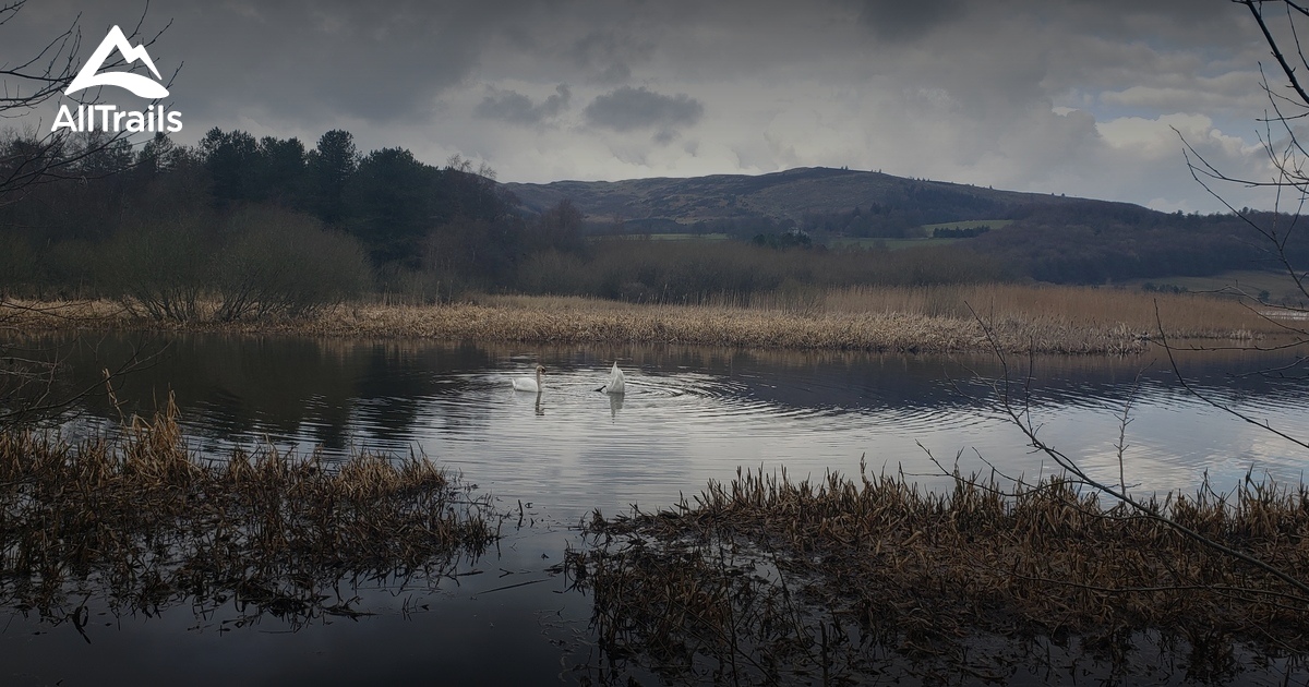 10 Best Trails, Walks, and Paths in Lochgelly | AllTrails
